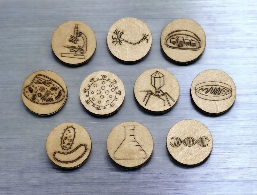 10 Biology 1.25" Wooden Fridge Magnets for Gift, Refrigerator Magnets ...