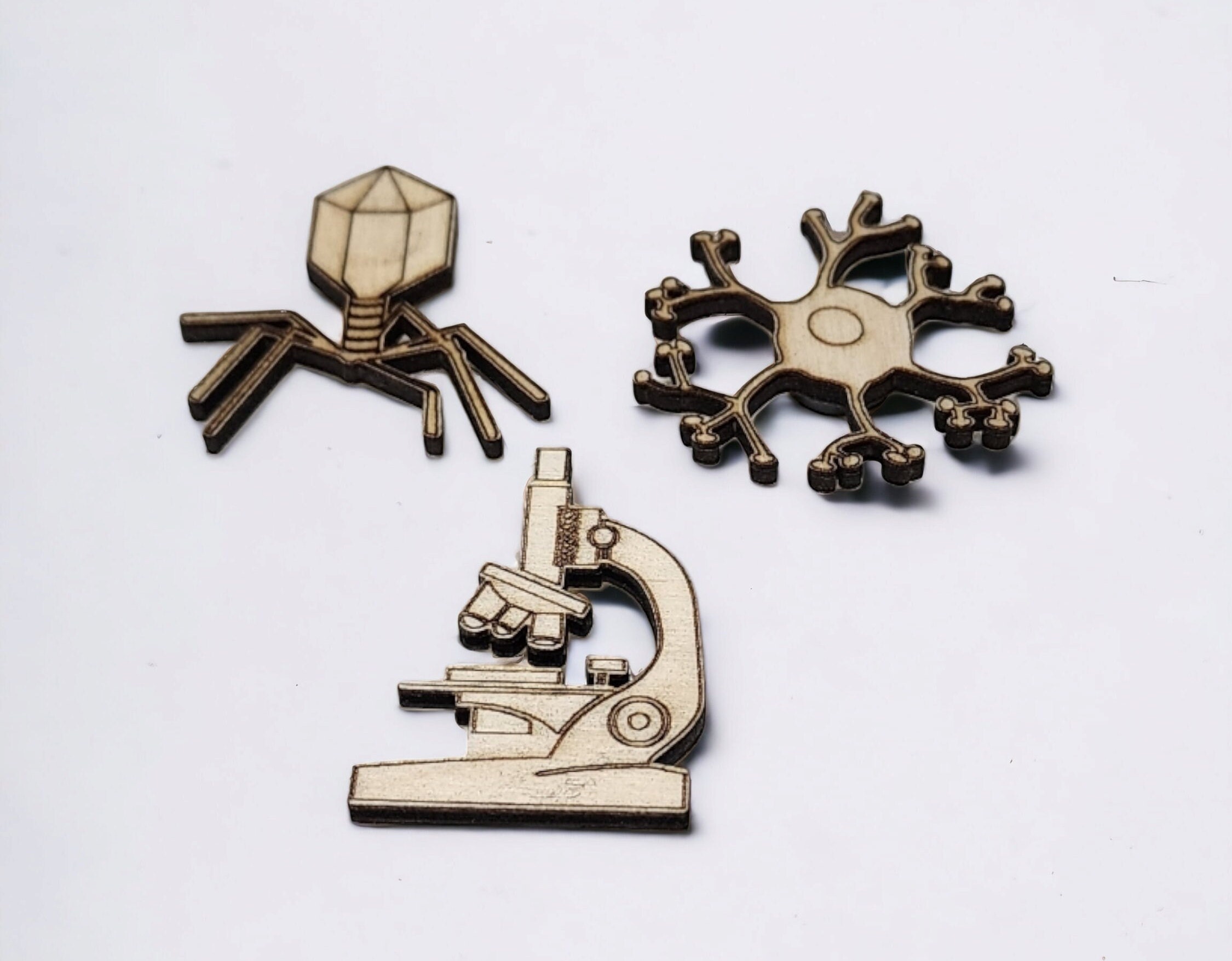 10 Biology Fridge Magnets for Gift, Refrigerator Magnets, Decorative ...