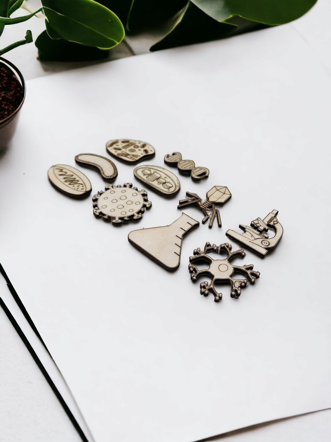 10 Biology Fridge Magnets for Gift, Refrigerator Magnets, Decorative ...