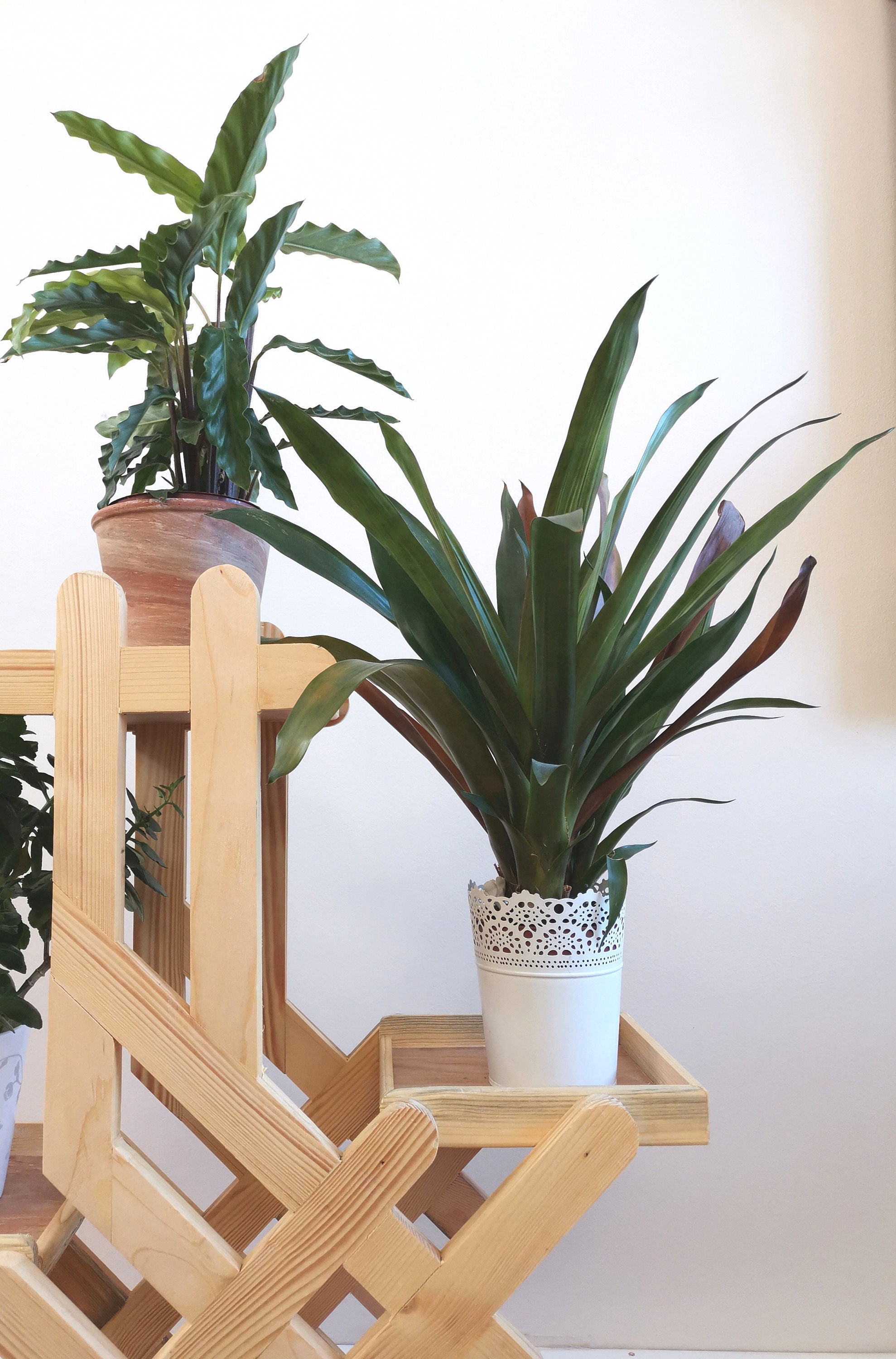 Wooden Planter Three Pot Podium - Etsy.de