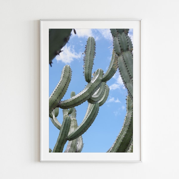 Kaktus poster - Etsy.de
