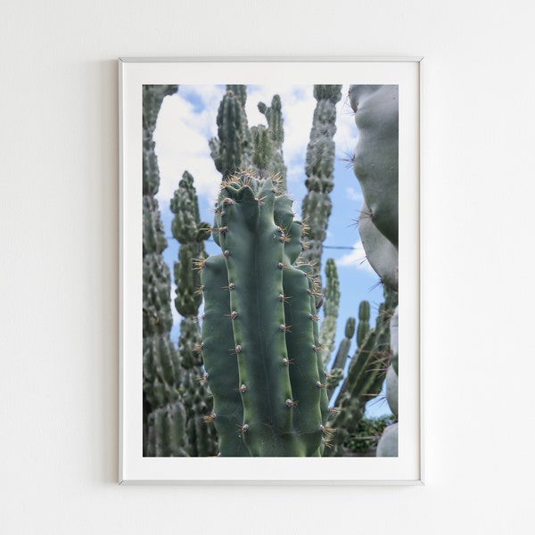 Kaktus poster - Etsy.de