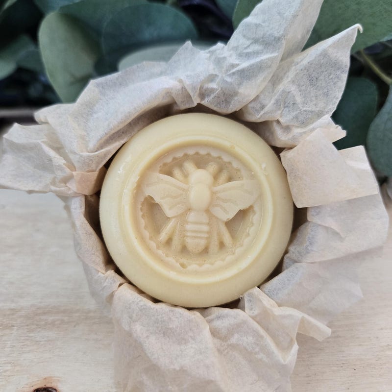 Solid Lotion - Etsy