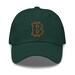 Bitcoin Hat, Bitcoin Embroidered Dad Hat, BTC Hat, Bitcoin Gift ...