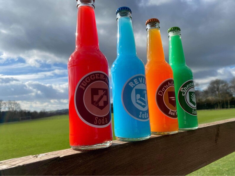 Call of Duty Zombie Perk Bottles 4 perk a cola bottles Xbox | Etsy