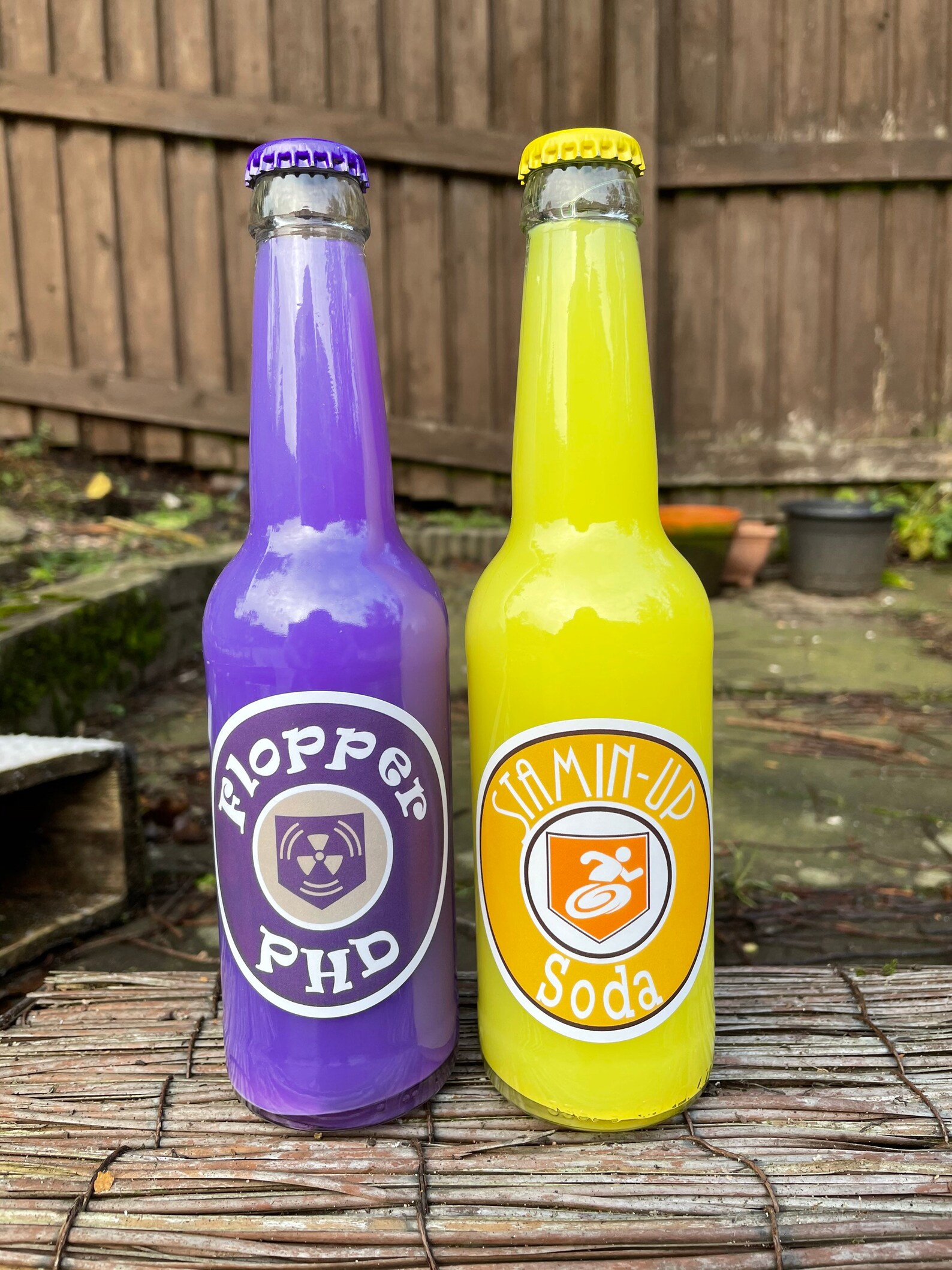 Call of Duty Black Ops Zombie Perk Bottle 2 PHD Flopper | Etsy