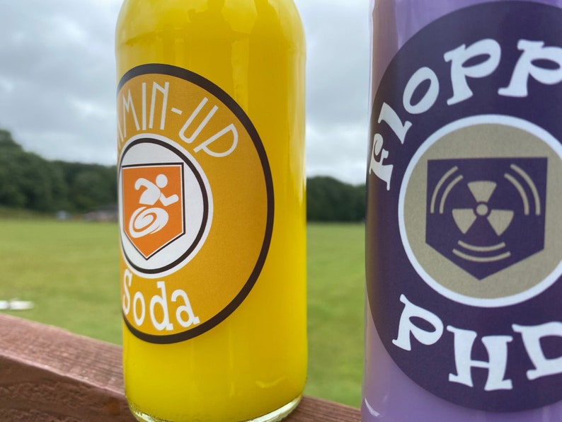 Call of Duty Black Ops Zombie Perk Bottle 2 PHD Flopper - Etsy UK