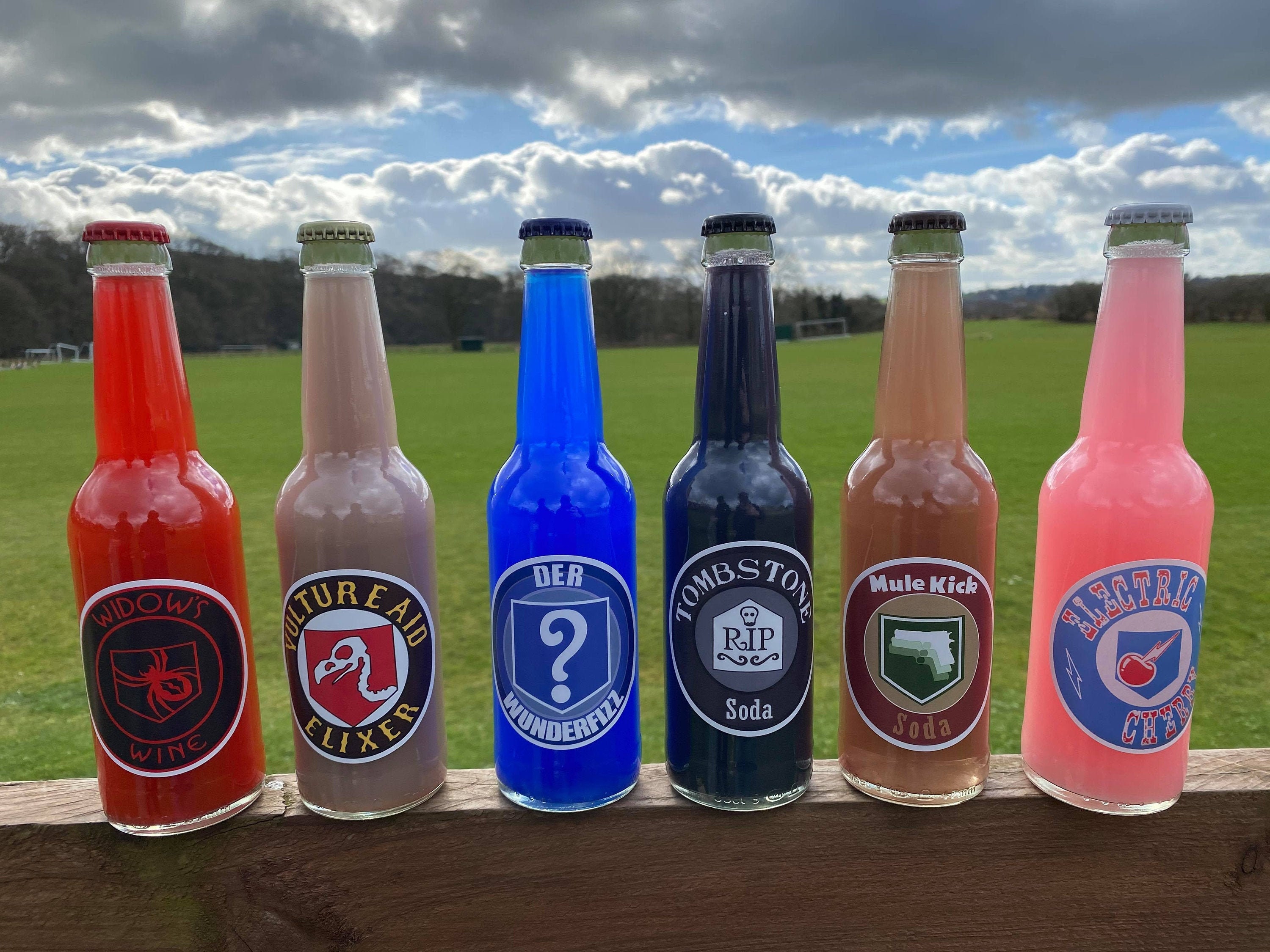 Call of Duty Zombie Perk Bouteilles 6 BLACK OPS PS5 XBOX | Etsy