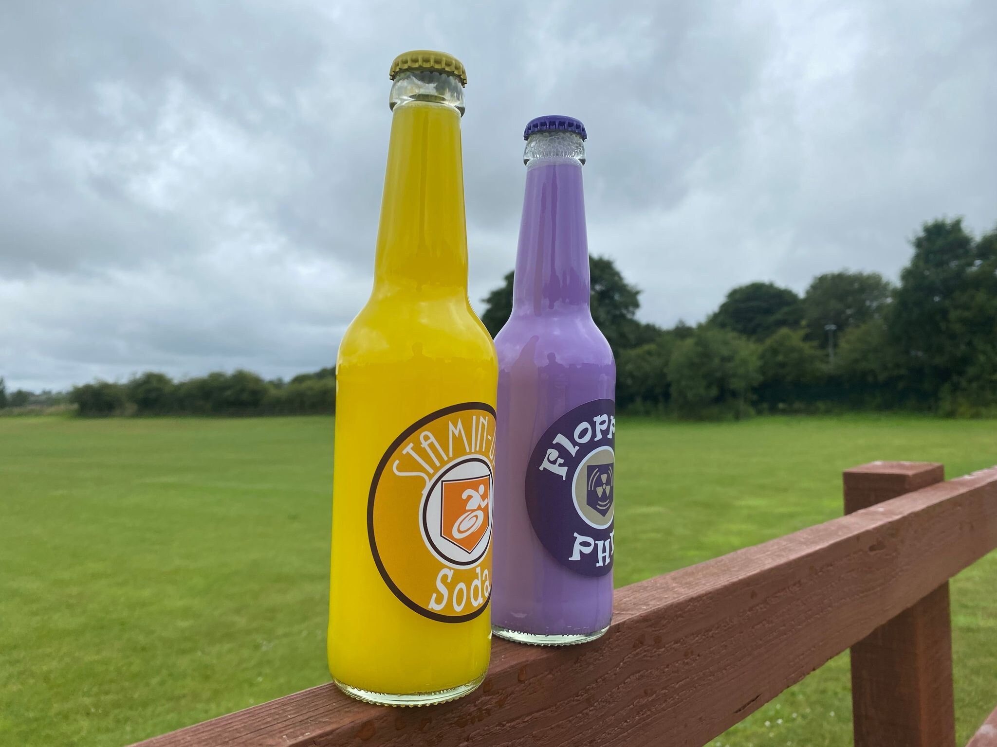 Phd Flopper Logo Black Ops 2