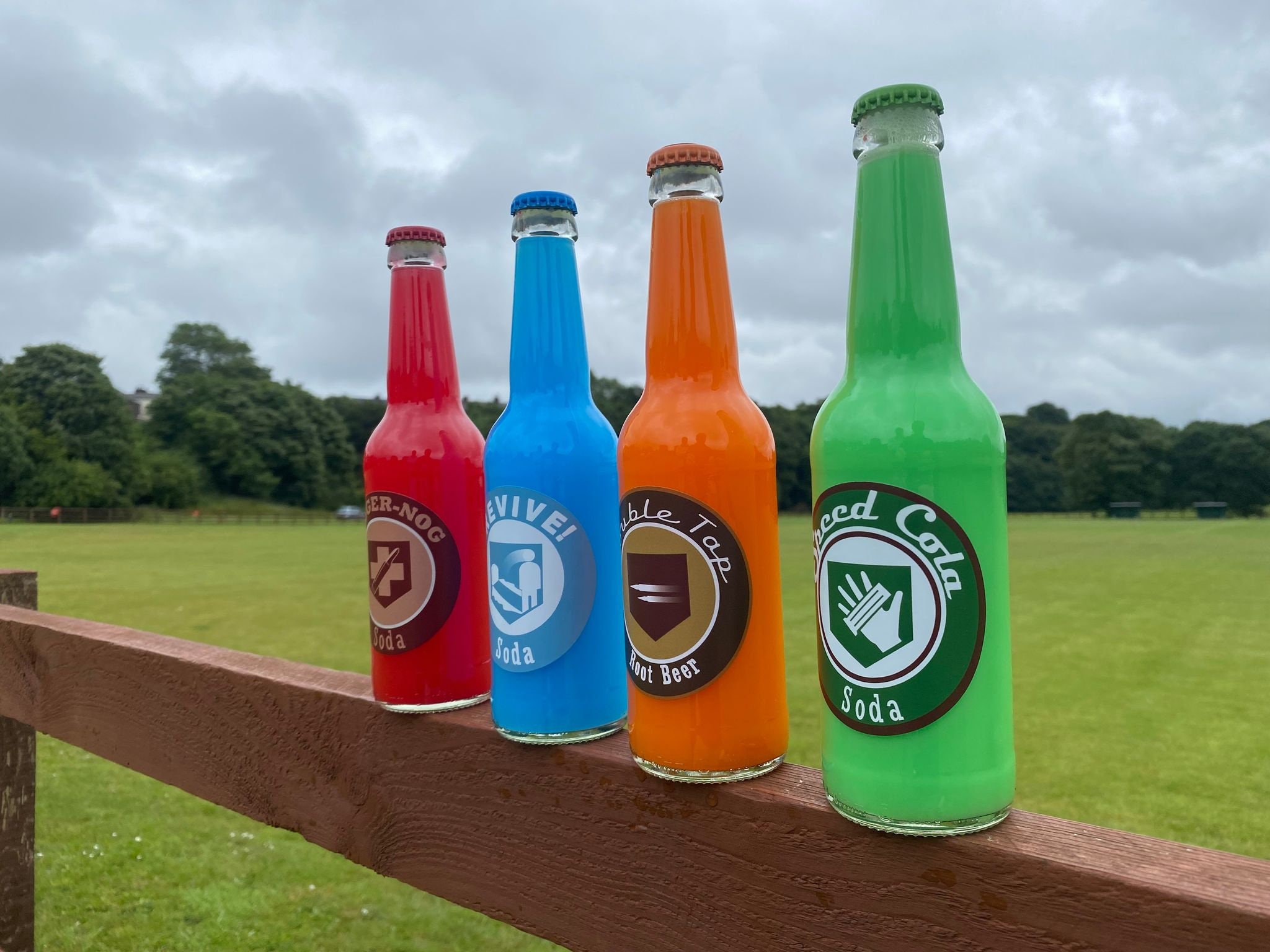 Call of Duty Zombie Perk Bottles 4 Perk a Cola Bottles Xbox - Etsy UK