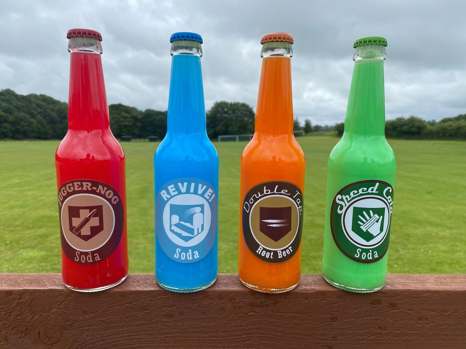 Call of Duty Zombie Perk Bouteilles 4 perk a cola bouteilles - Etsy France
