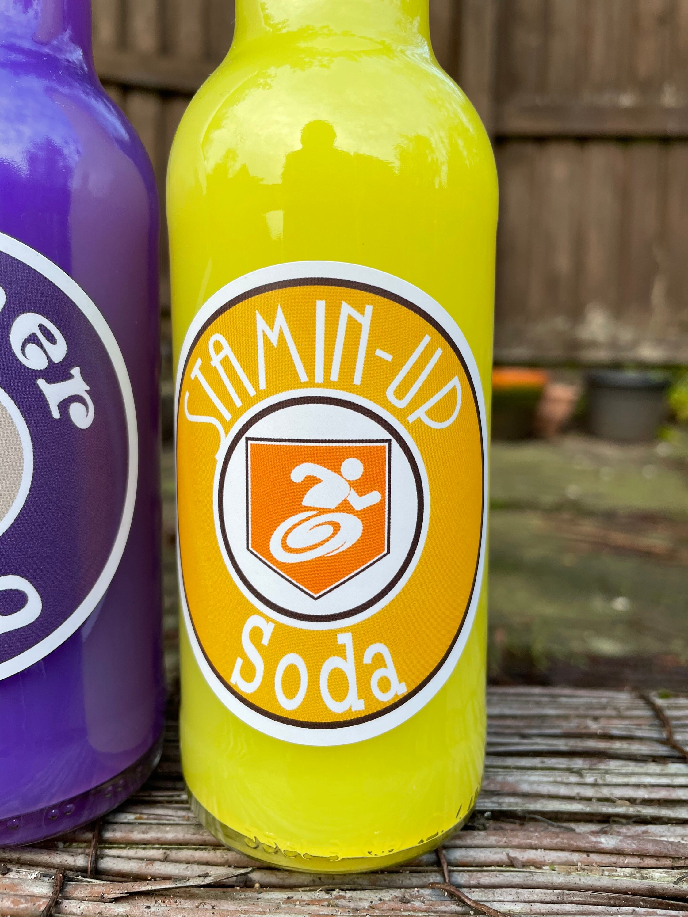 Call of Duty Black Ops Zombie Perk Bottle 2 PHD Flopper | Etsy