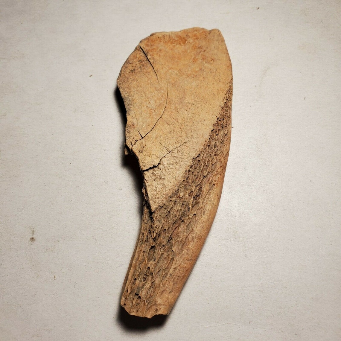 Authentic Indian Artifact Large Bone Tool Native American | Etsy