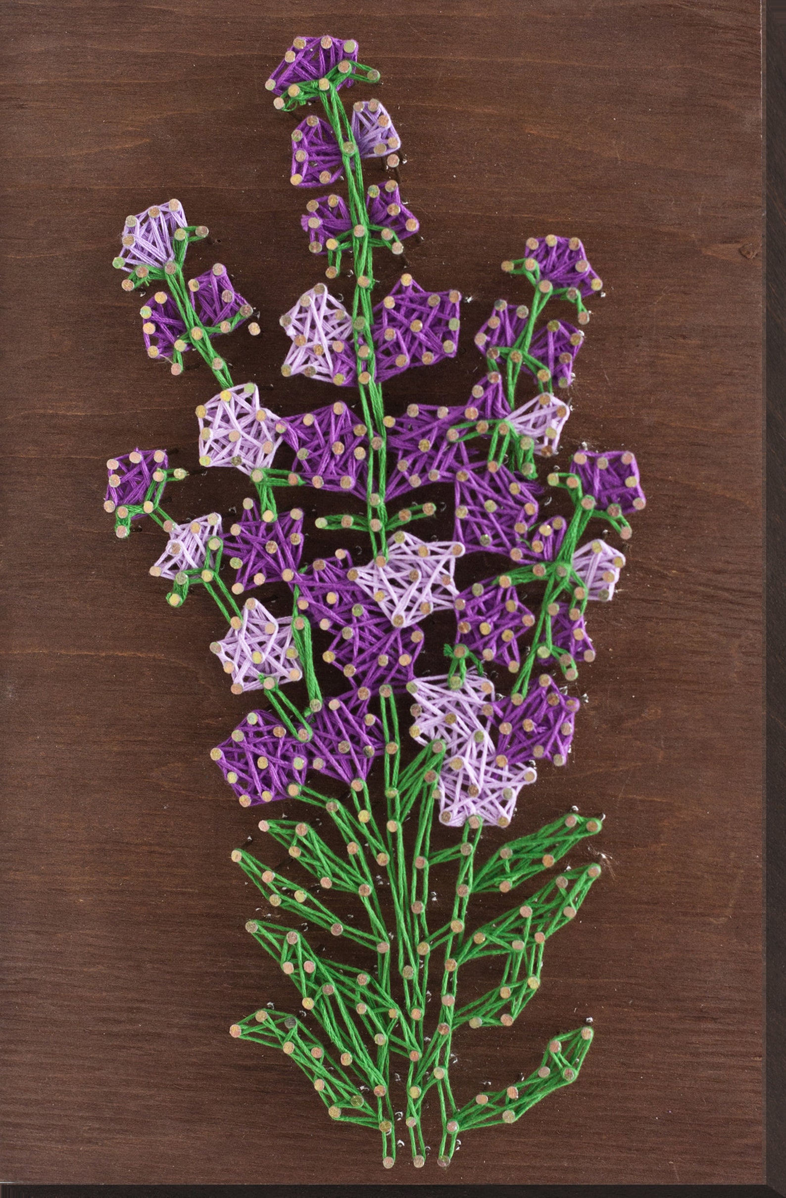 String Art DIY Kit "lavender" DIY. Creative DIY Kit. - Etsy