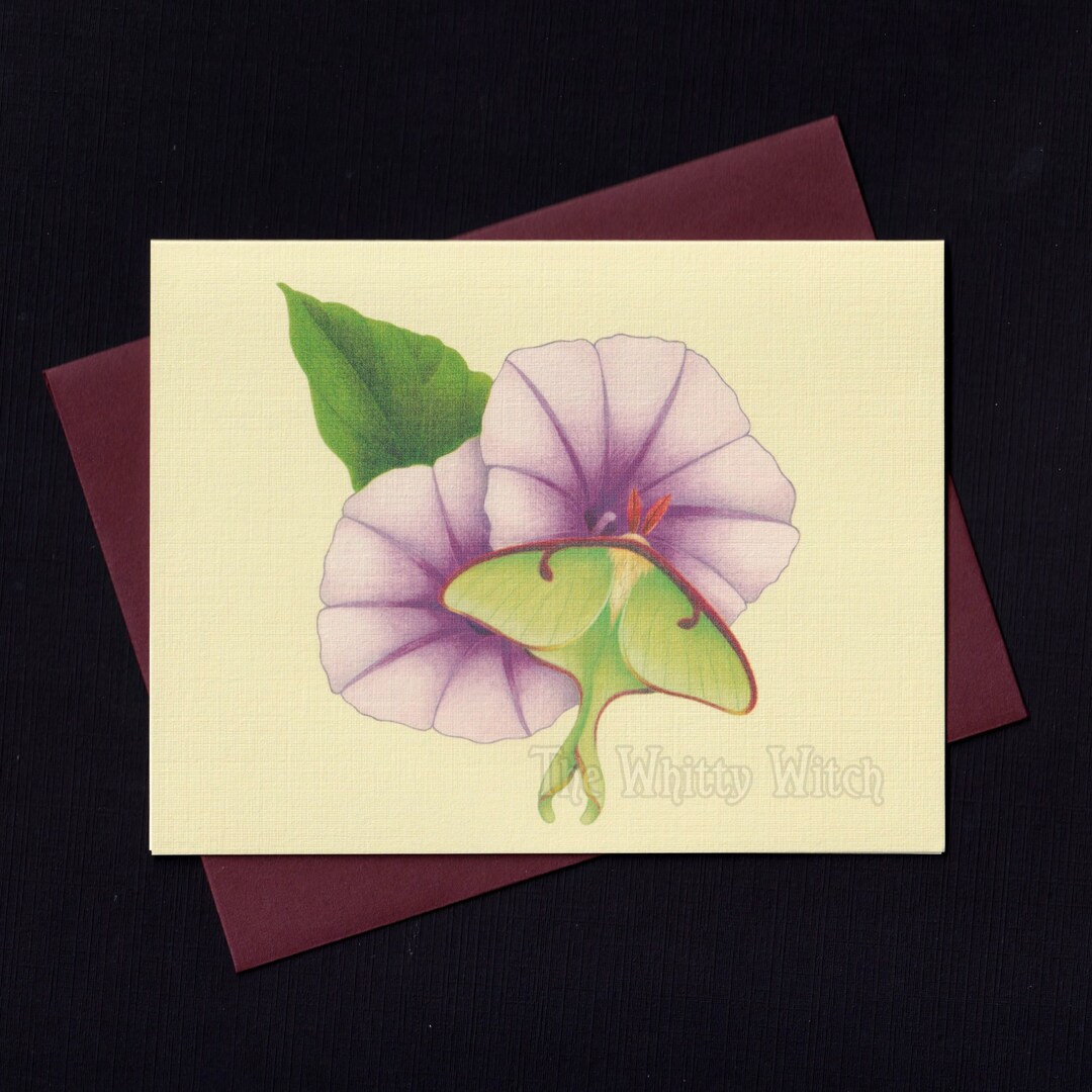 Luna Moth on Moonflower Note Card - A2 - Blank Inside - Single, Set of 3, Set of 6 - Cute Floral ...