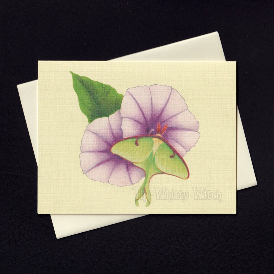 Luna Moth on Moonflower Note Card - A2 - Blank Inside - Single, Set of ...