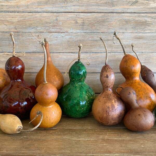 Dried Gourds - Etsy