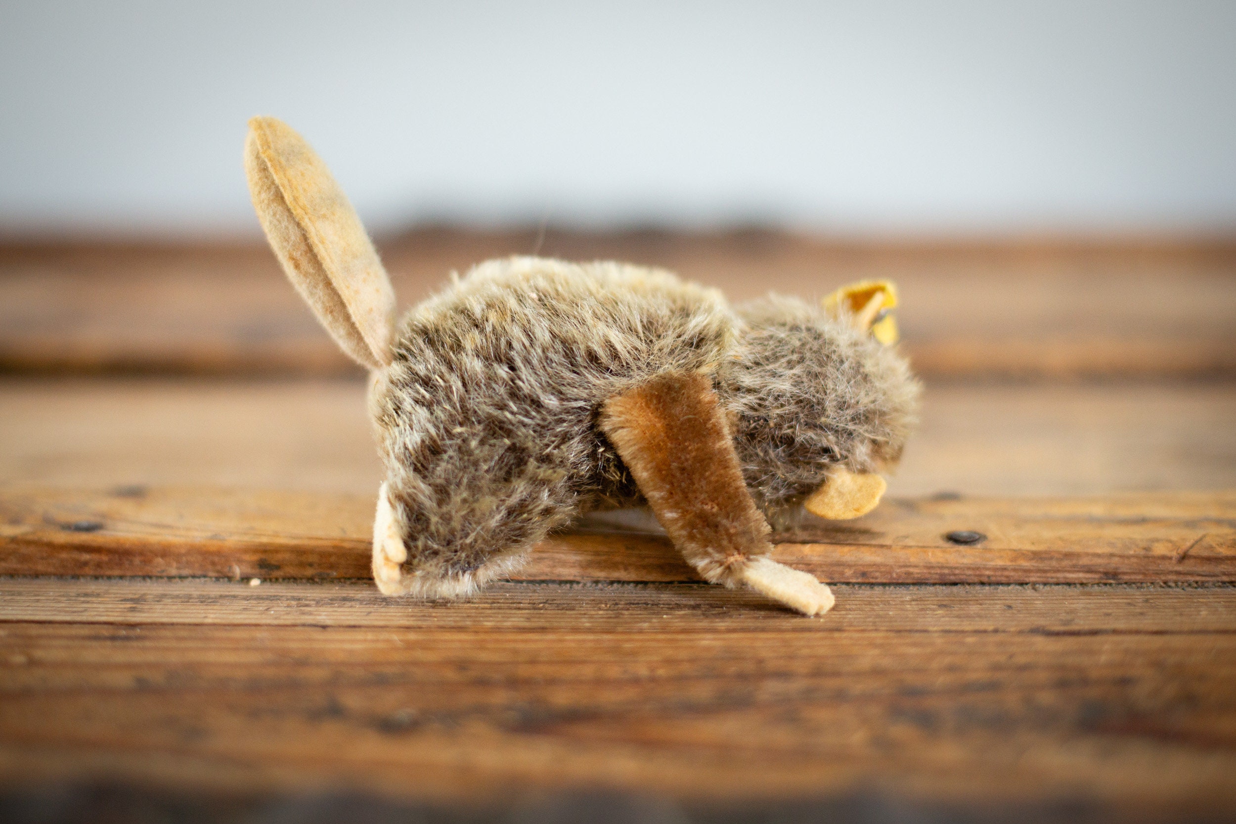 50s-60s Steiff Nagy the Beaver Plush Stuffed Animal Toy, 4310, Genuine ...