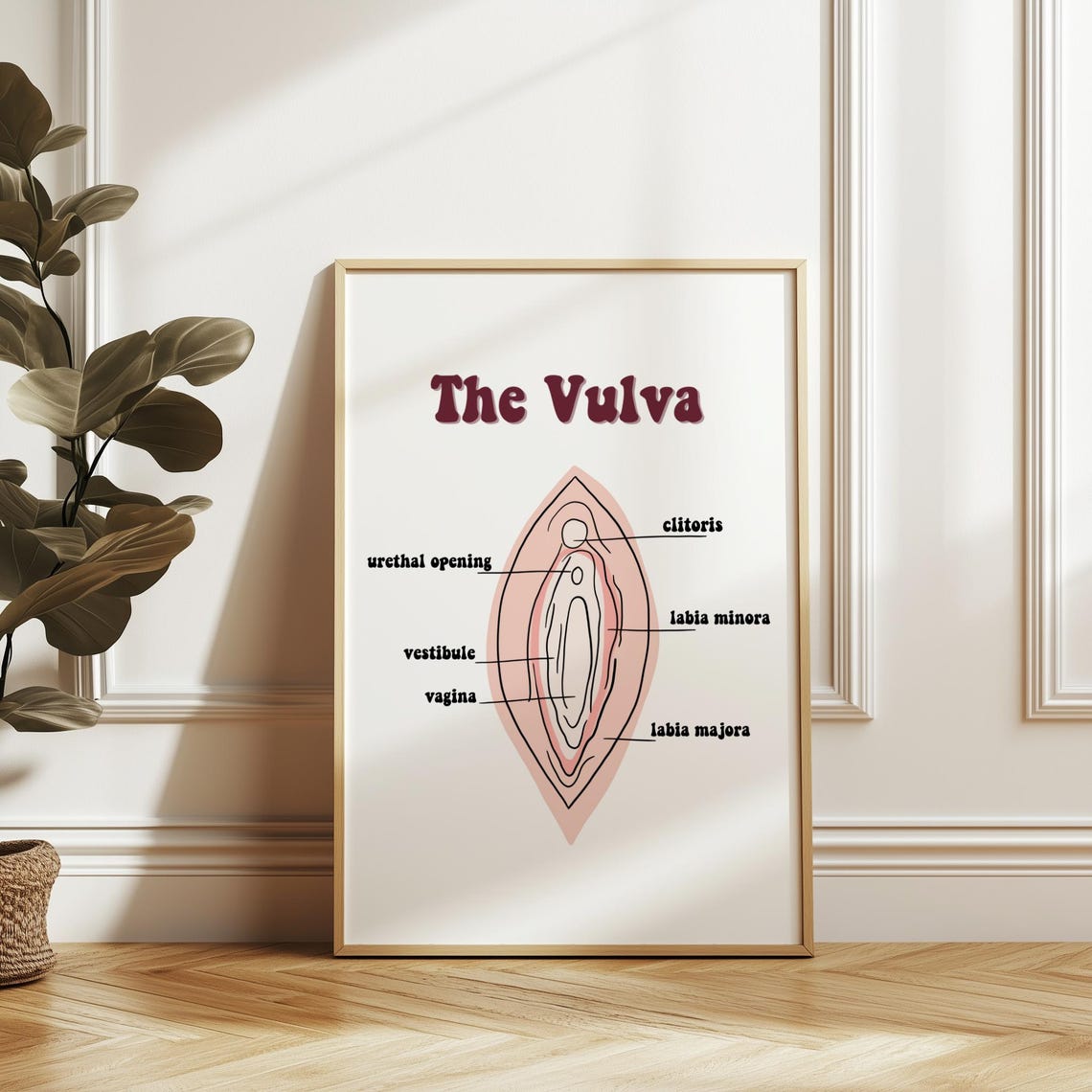 Vulva Illustration Educational Bathroom Wall Art Women s Health Diagram
