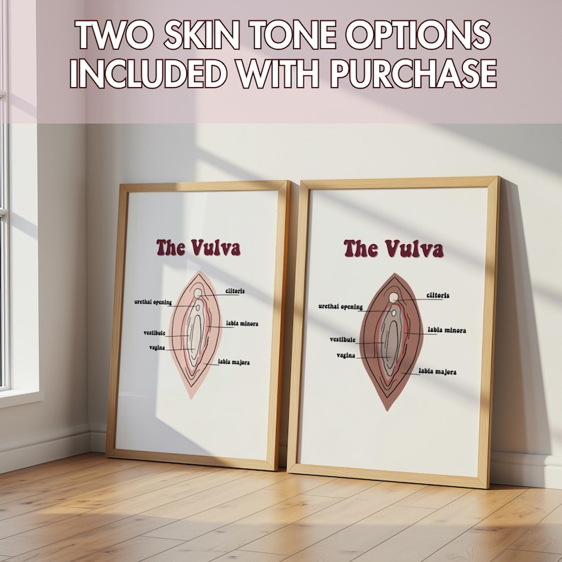 Labelled Vulva Anatomy Diagram Female Health Educational Poster labelled-vulva-anatomy-diagram-female-health-educational-poster
