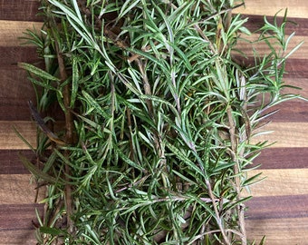 Fake Rosemary Sprigs | Etsy