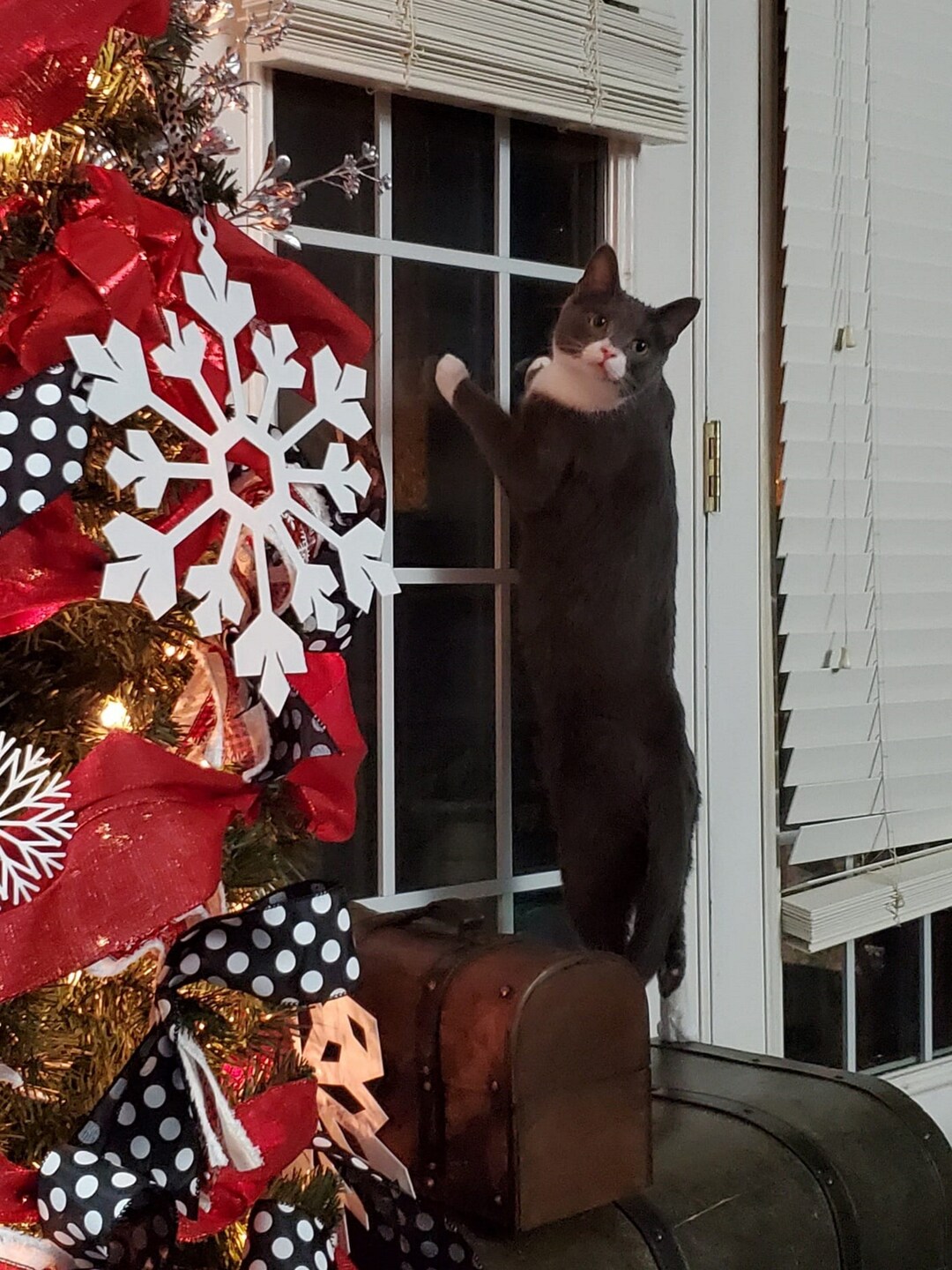 Set of 3 Extra Large (16 Inch) Hanging Snowflakes Decorations, 3d ...