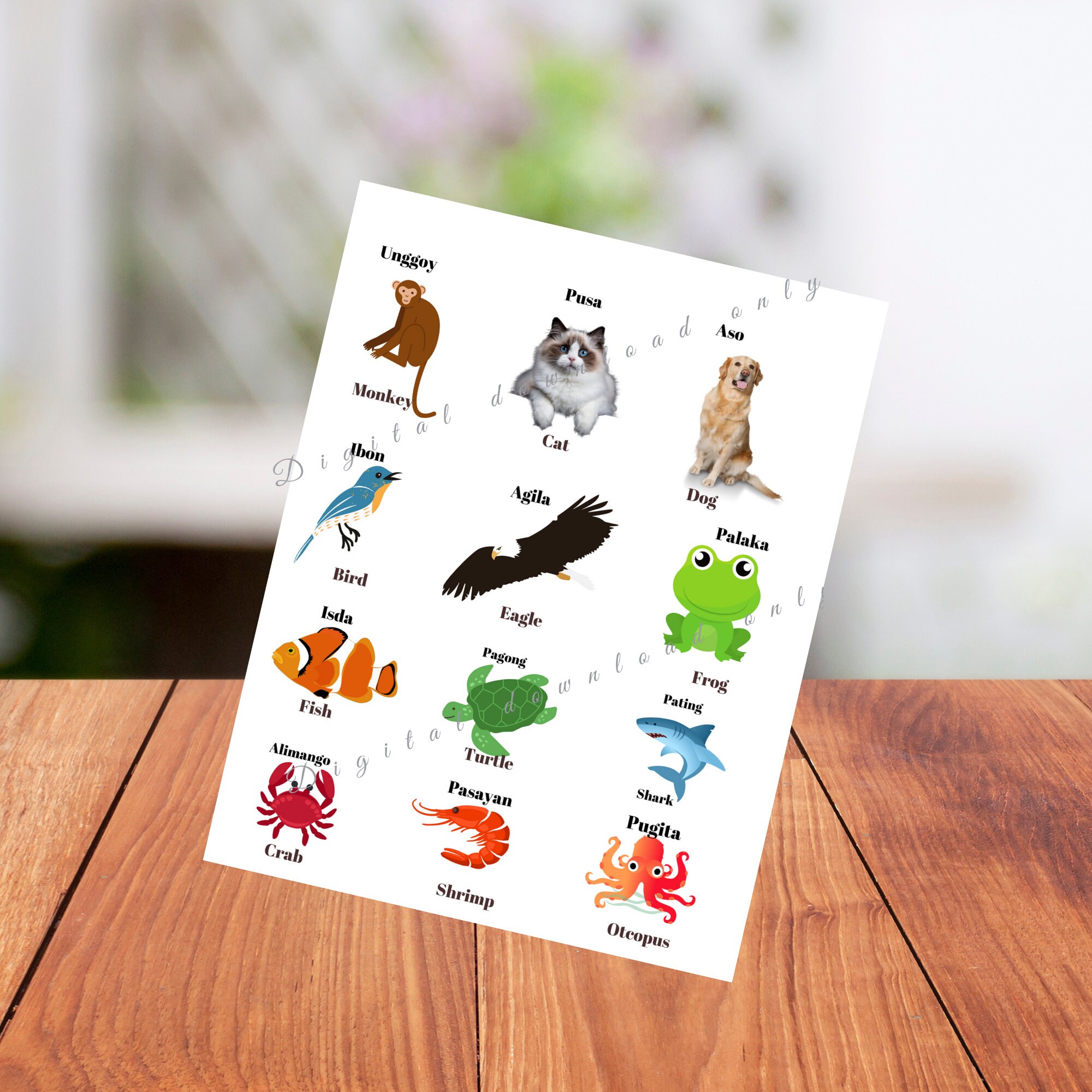 21 Animal-hayop Flashcards Printable/ Learn Animals in | Etsy