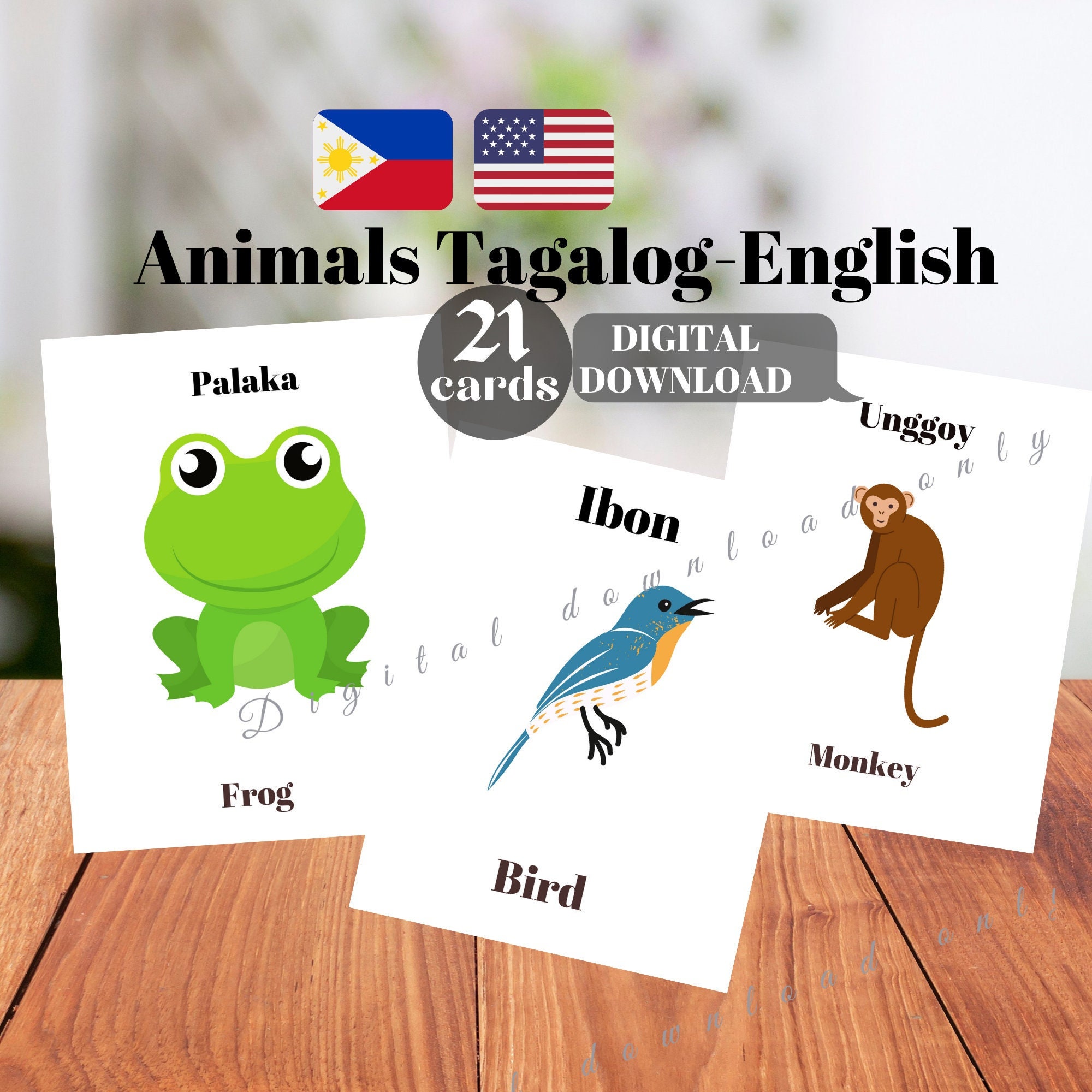 Learn Tagalog Words