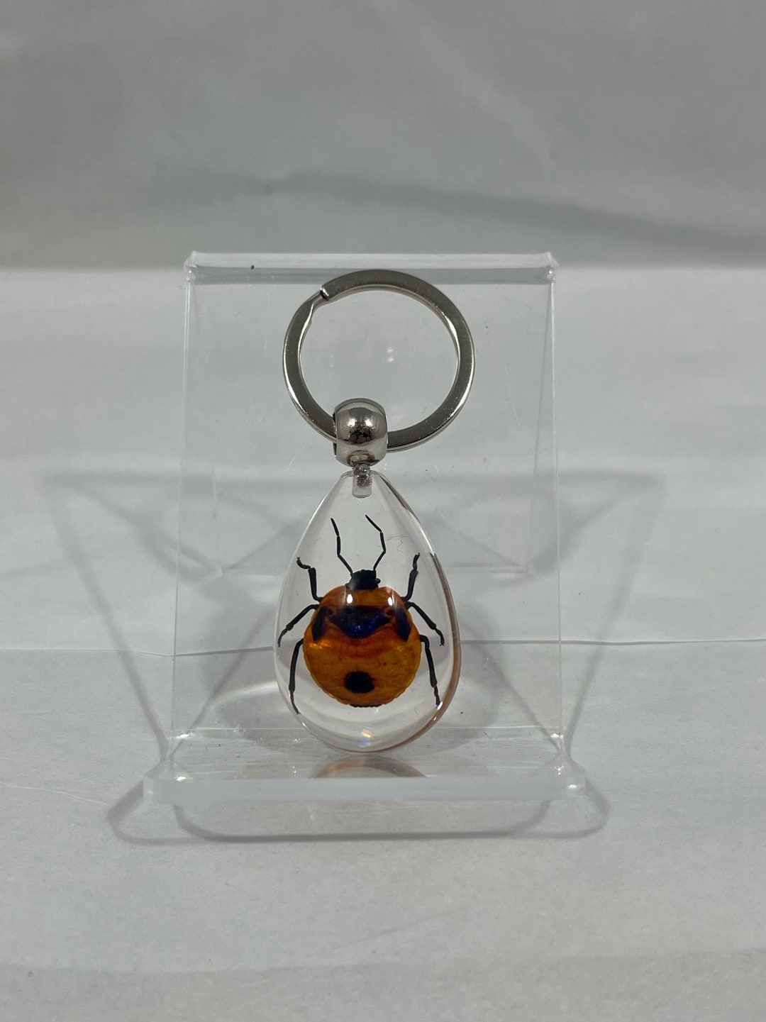 1.5" Real Flower Bug Keychain Encased in Resin - Etsy