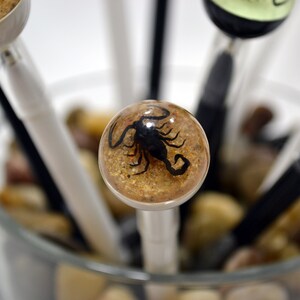 Resin-encased Bug Pens | Pick From Multiple Options - Etsy