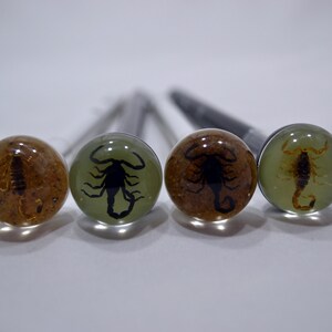 Resin-encased Bug Pens | Pick From Multiple Options - Etsy