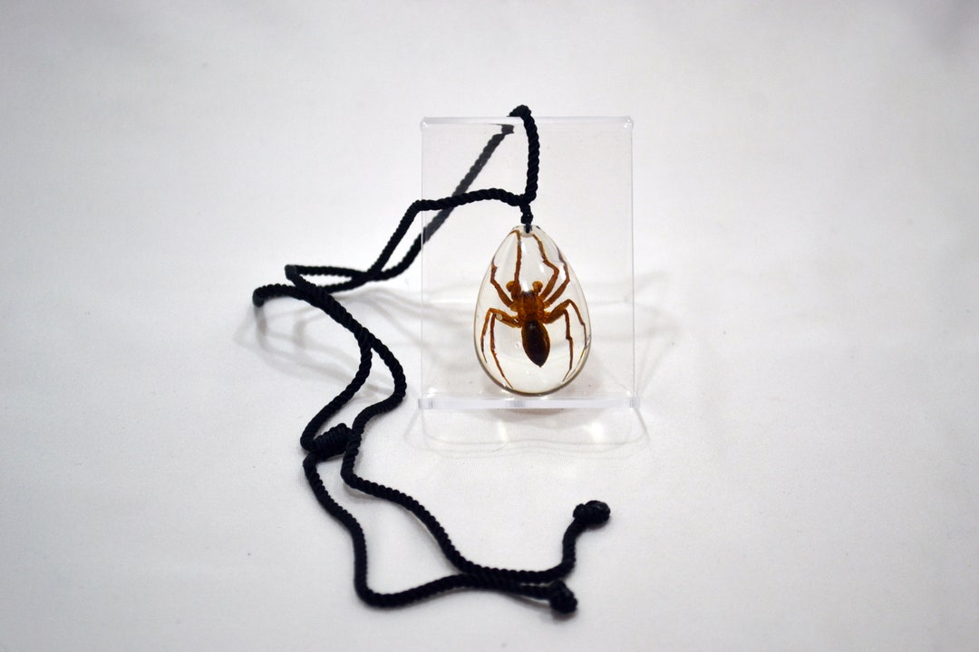 Spider Teardrop Necklace - Etsy
