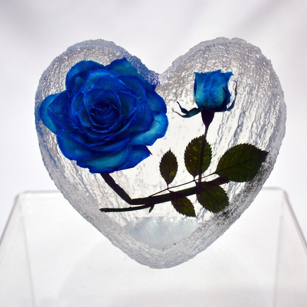 Blue Roses - Etsy
