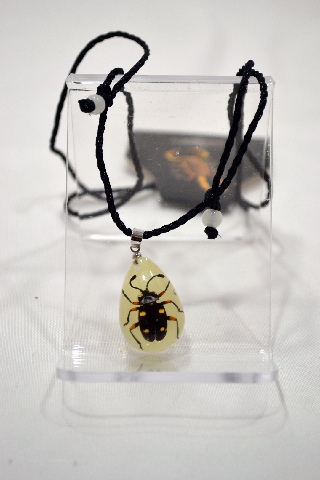 Glow-in-the-dark Spotted Beetle Necklace, Teardrop - Etsy