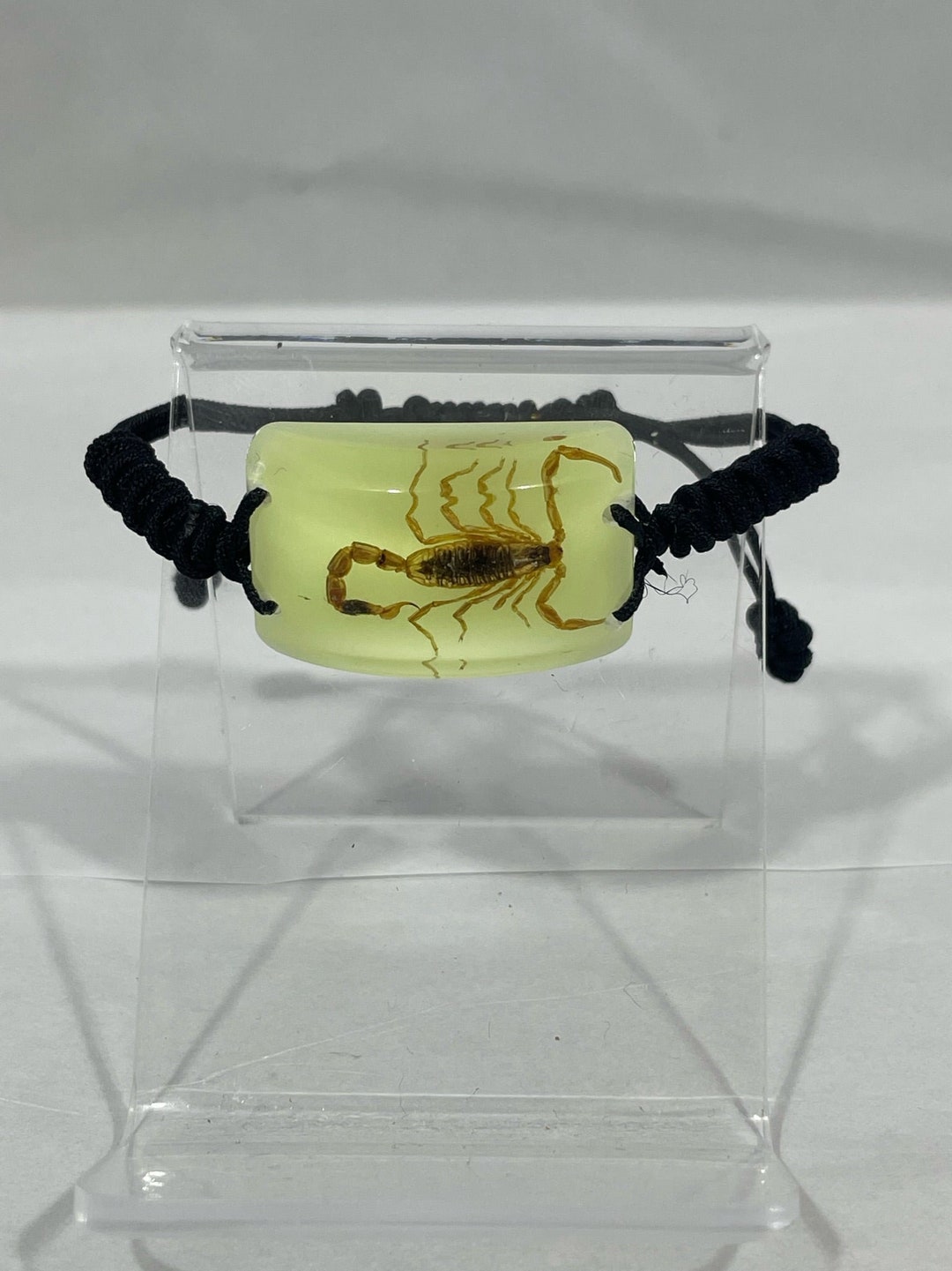 1.3" Real Scorpion Encased in Resin Bracelet With Glow-in-the-dark ...