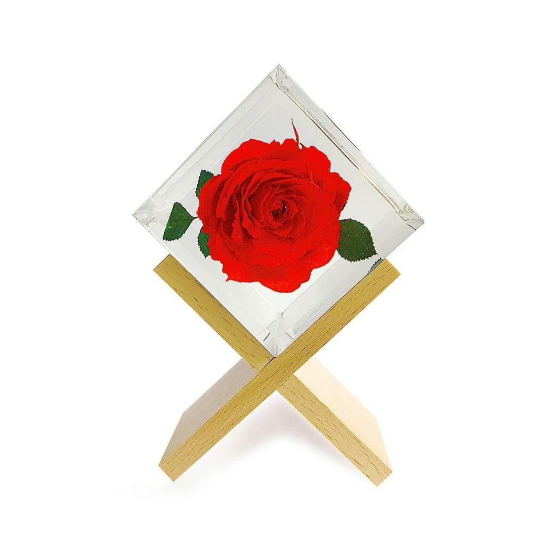 Red Rose Resin-encased 2x2 Square Suspended by Bamboo Interlocked Stand ...