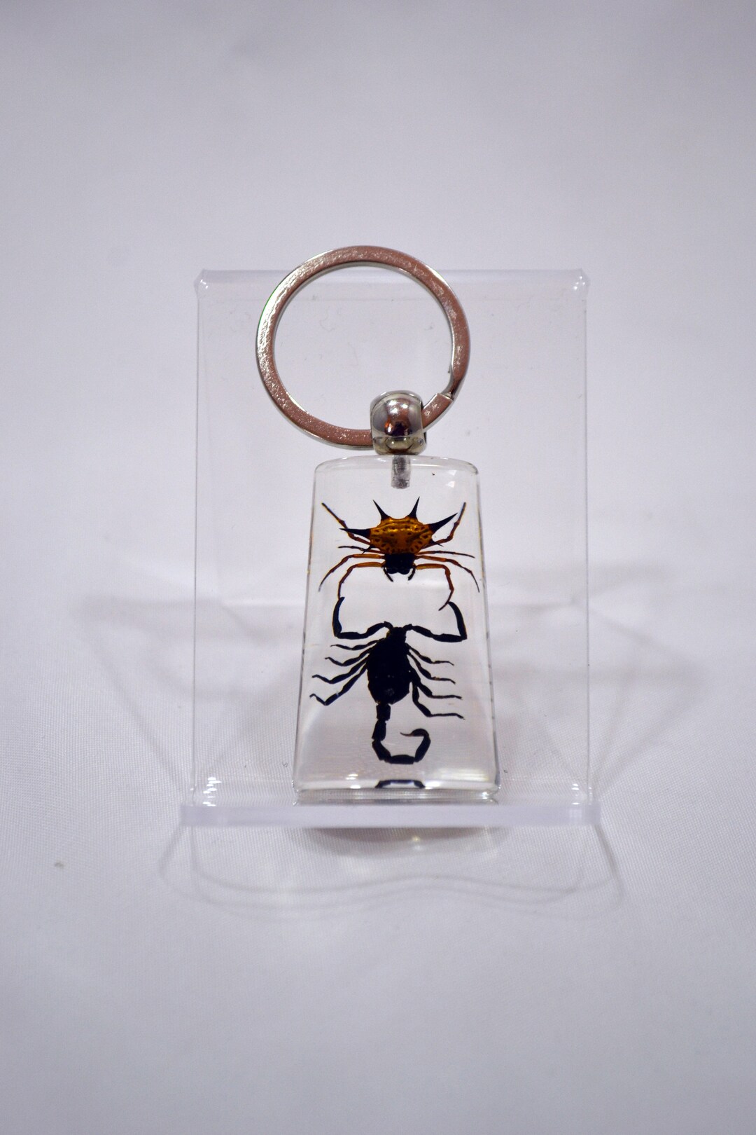 1.8" Spiny Spider and Black Scorpion Keychain - Etsy