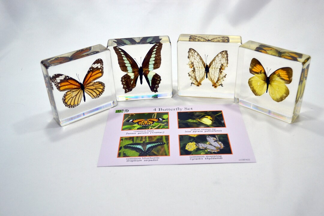 4 Pc Butterfly Paperweight Collection - Etsy