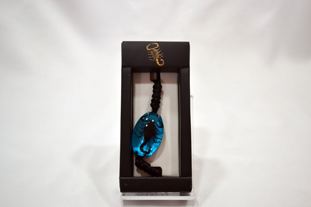 Blue Resin-encased Black Scorpion Bracelet - Etsy