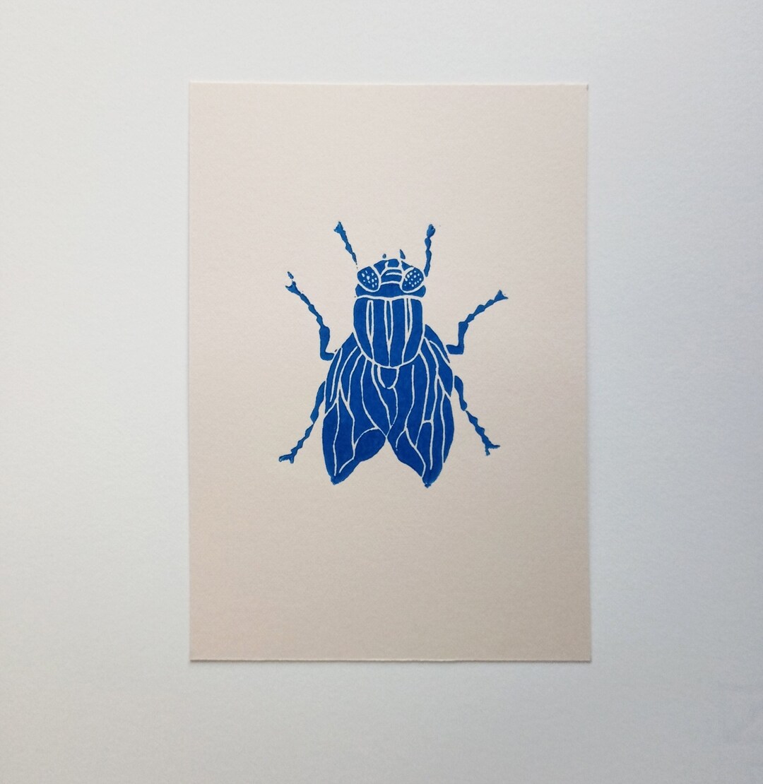 Linocut Fly, Original Art Print, Cabinet of Curiosities, Insect Artwork ...