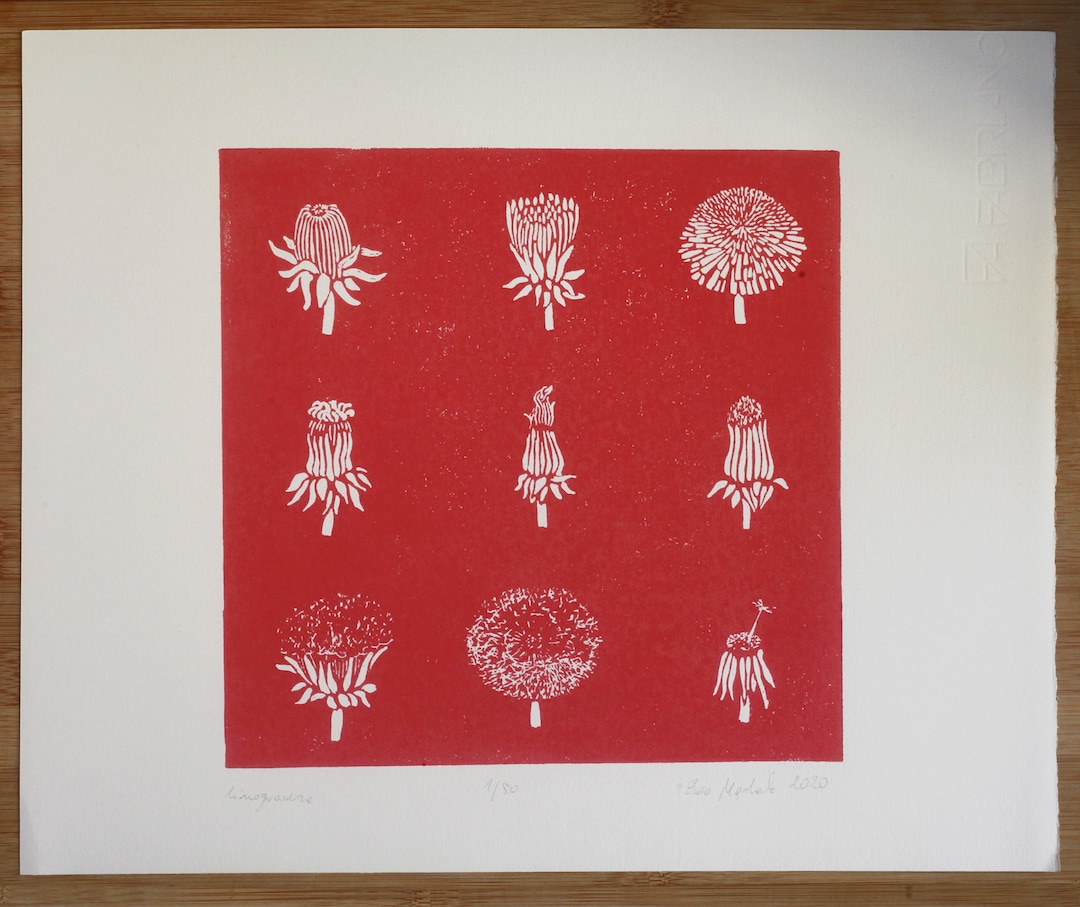 Linocut Print Dandelion, Original Art Print, Life Cycle of a Flower ...