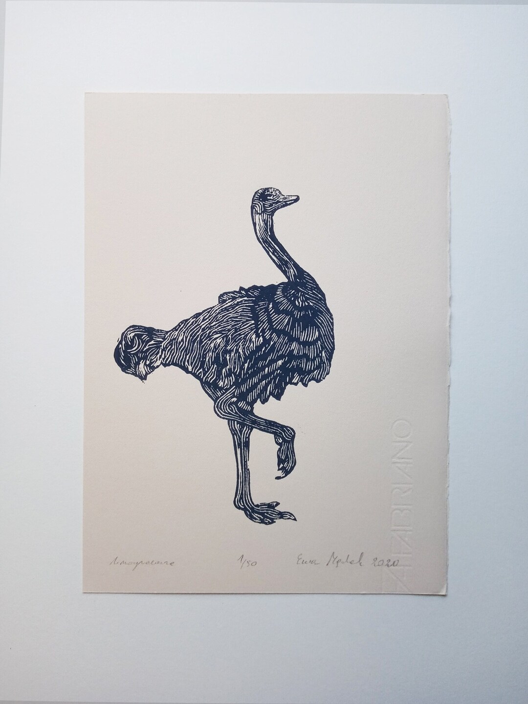 Linocut Ostrich - Original Art Print, Hand Drawn, Hand Carved and Hand ...