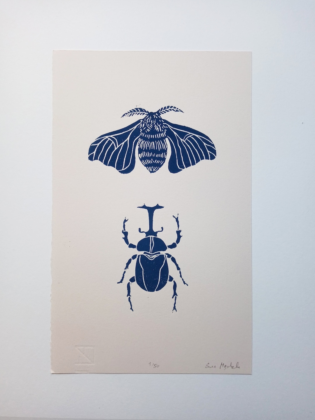 Linocut Insects - Original Art Print, Cabinet of Curiosities ...
