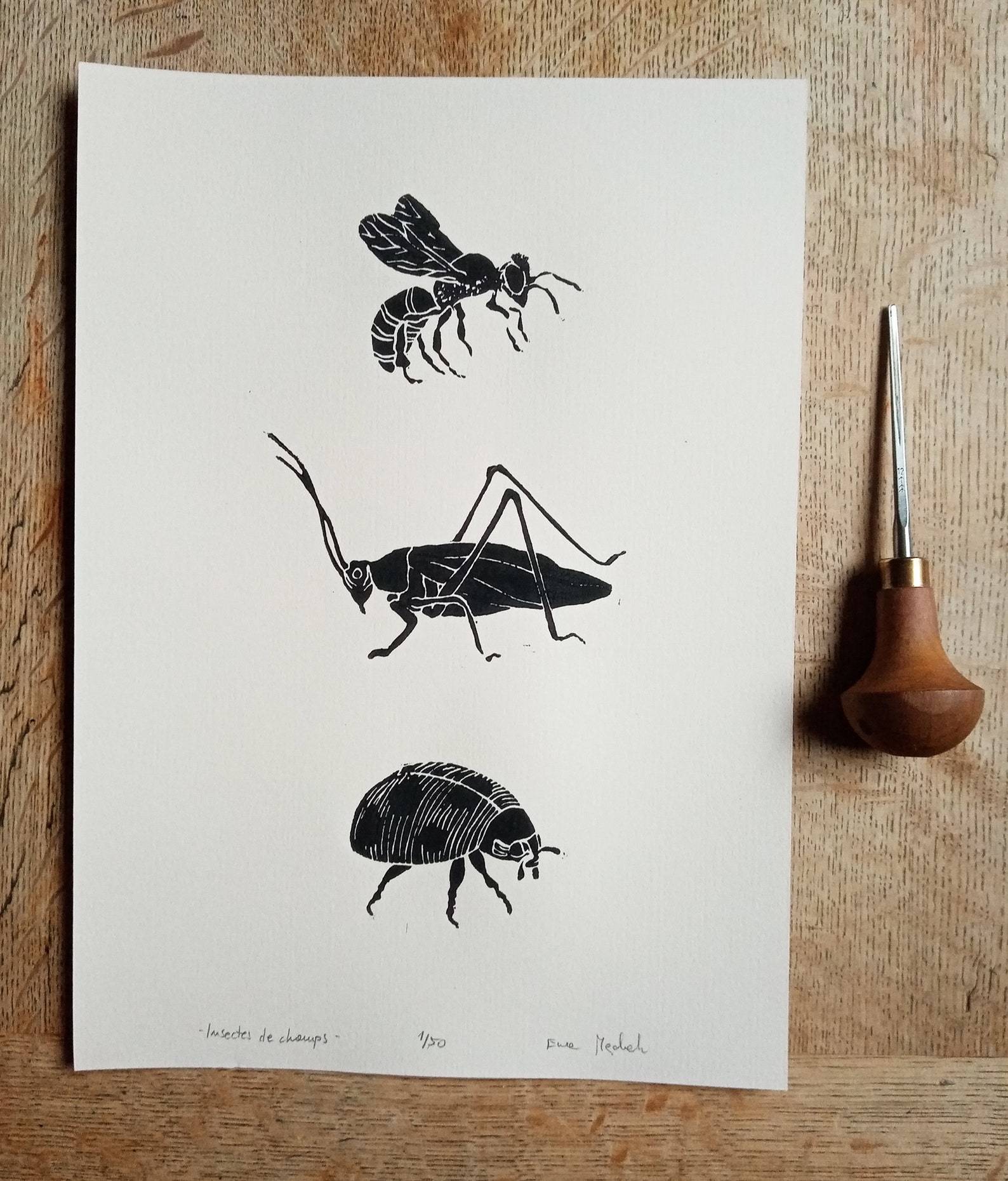 Linocut Insects of the Fields, Original Art Print, Natural Home Decor ...