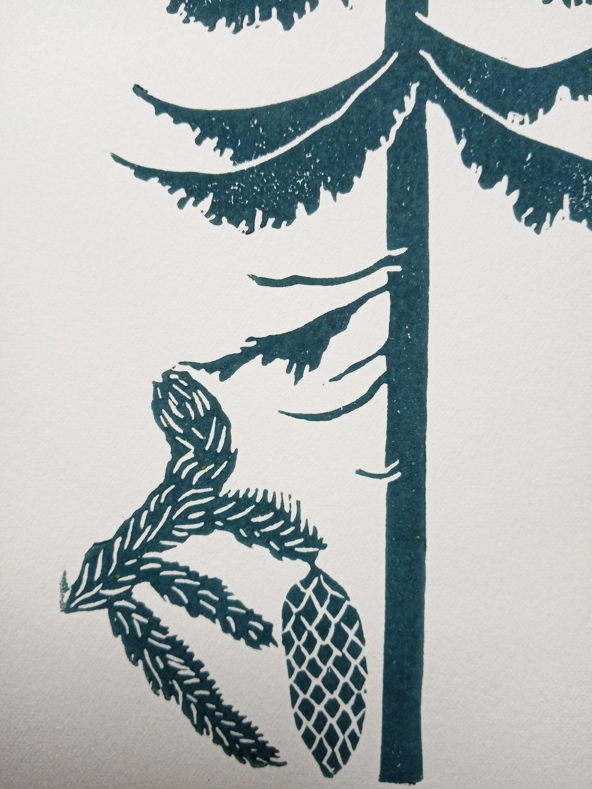 Linocut Fir Tree Original Art Print Nature Wall Artforest - Etsy