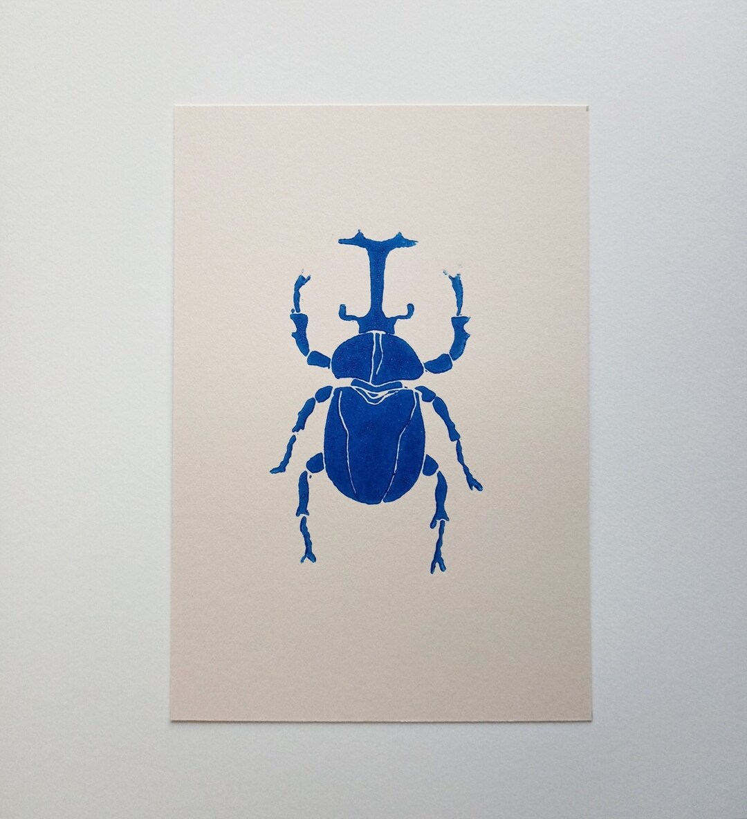 Linocut Beetle - Original Art Print, Greeting Card, Cabinet of ...