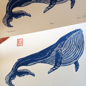 Linocut Whale - Original Art Print, Hand Engraved and Printed, Marine ...
