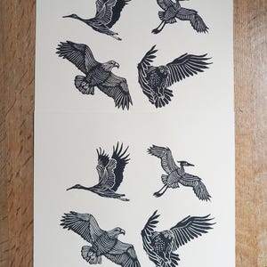Linocut Birds, Original Art Print, Nature Art, Ornithological ...