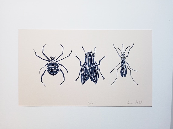 Linocut Insects Original Art Print Cabinet of Curiosities - Etsy