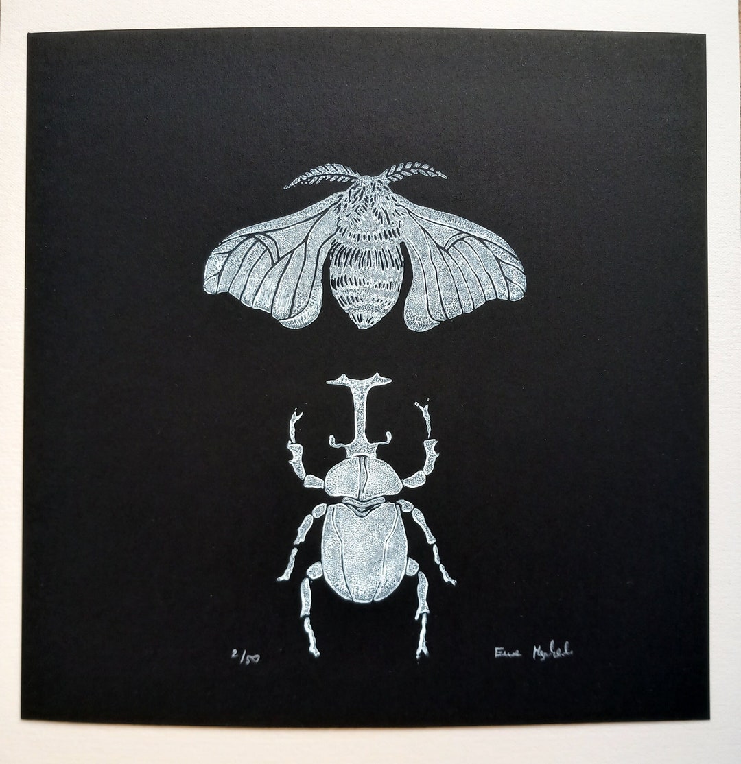 Linocut Insects - Original Art Print, Cabinet of Curiosities ...